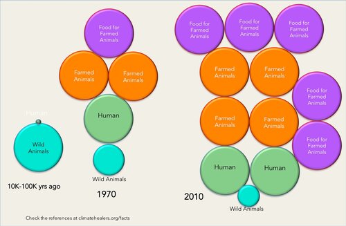 Fig. 4.1. The biomass of wild animals, humans and farmed animals over ...